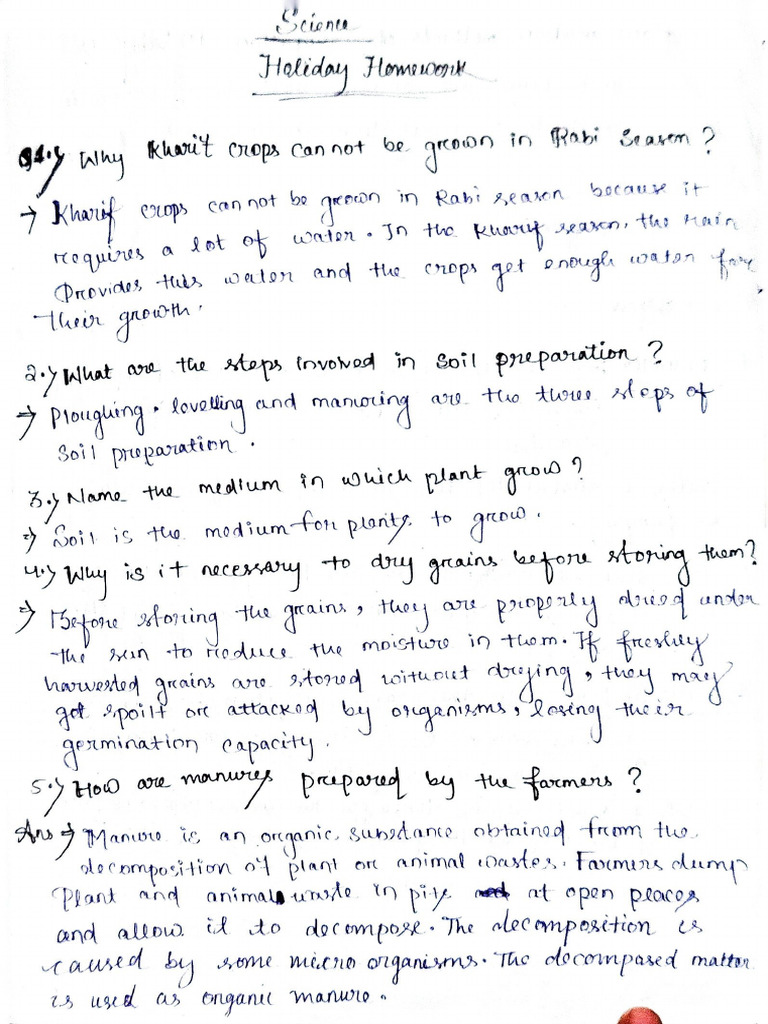 Science Holiday Homework | PDF