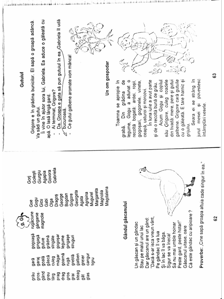 Fisa Litera G Si G | PDF