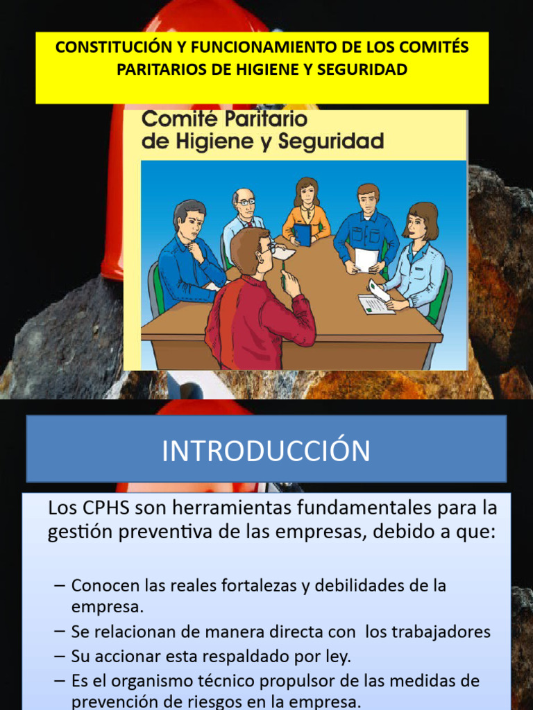 Constitucic3b3n y Funcionamiento Del Cphs | PDF | Negocios