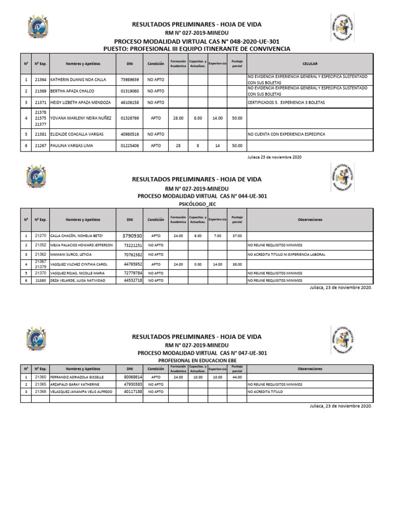Ficha Cas para Resultados Preliminares 2020 | PDF