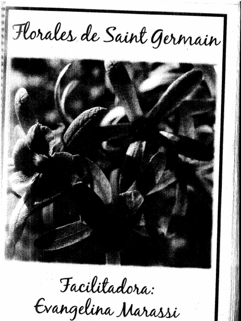 Flores de Saint Germain | PDF