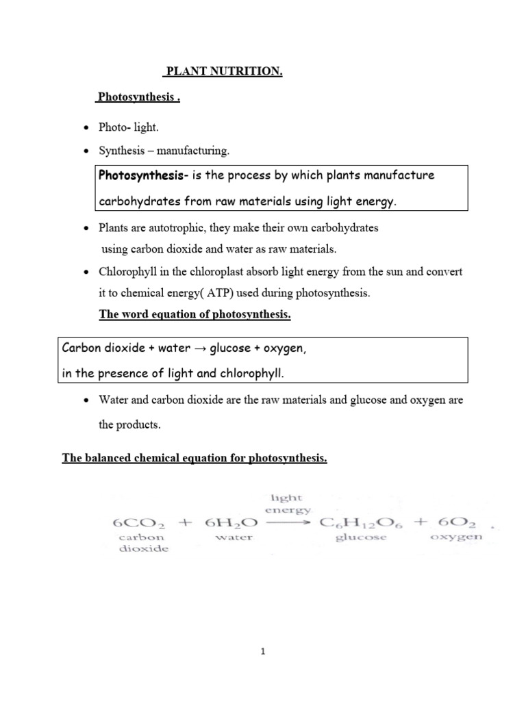 Plant Nutrition | PDF | Leaf | Photosynthesis