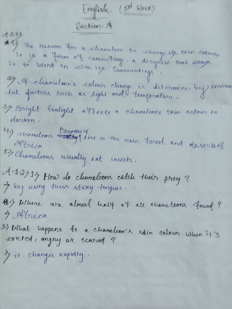 English Holiday Homework | PDF