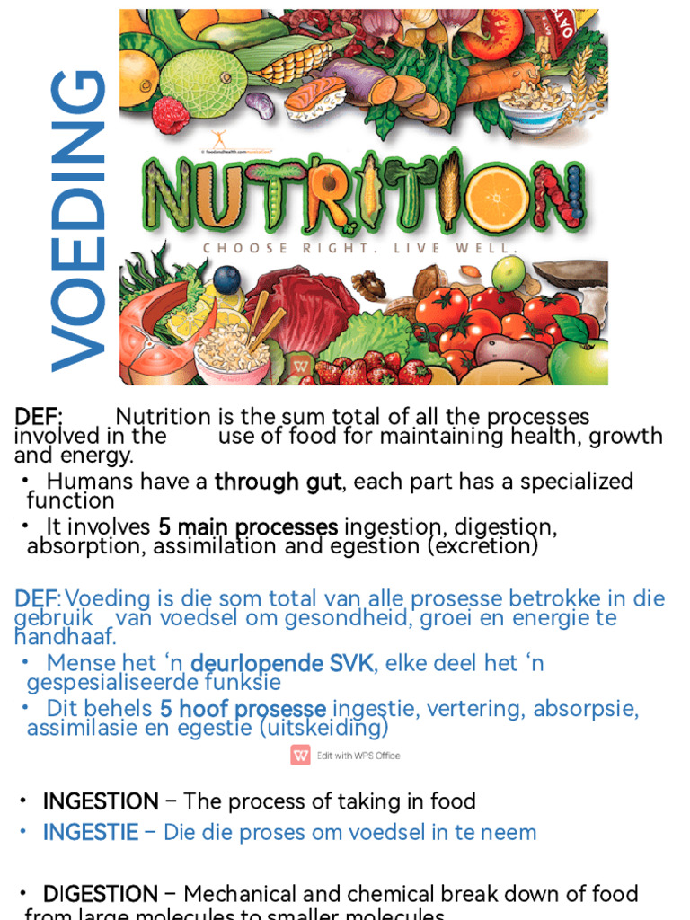 16 Nutrition Processes Modes of Nutrition-4 | PDF | Digestion | Foods