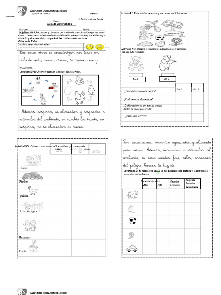 Guia 3° Seres Vivos e Inertes | PDF | Osos