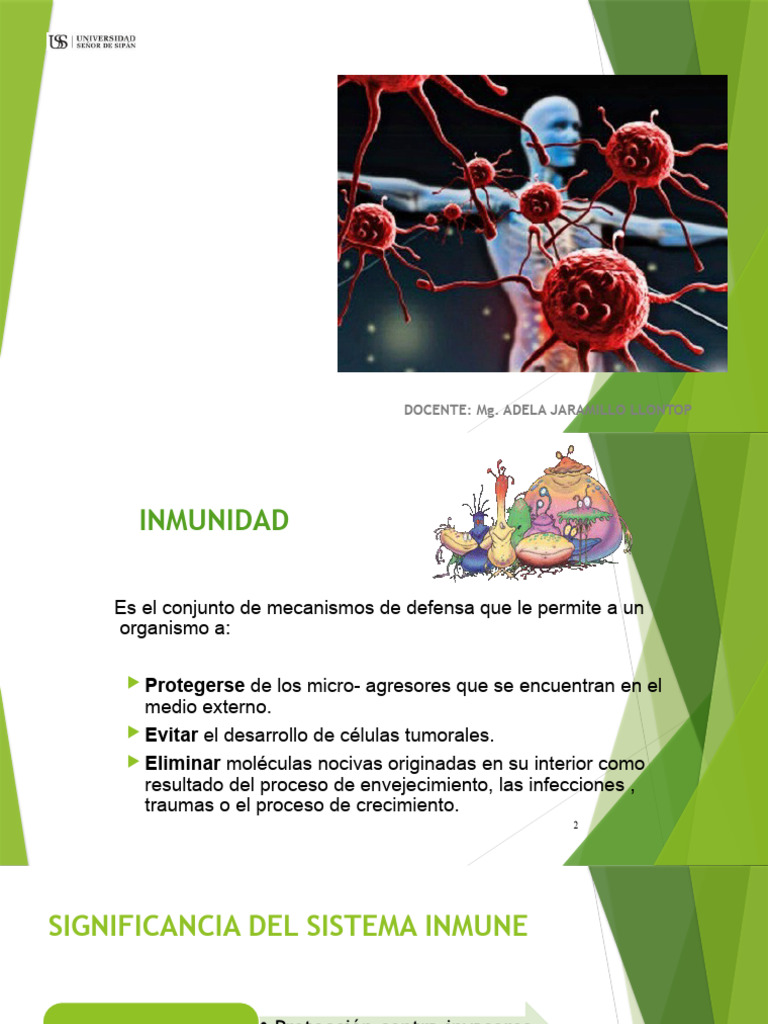 Semana 4 Inmunologia | PDF | Sistema inmune | Sistema inmune innato