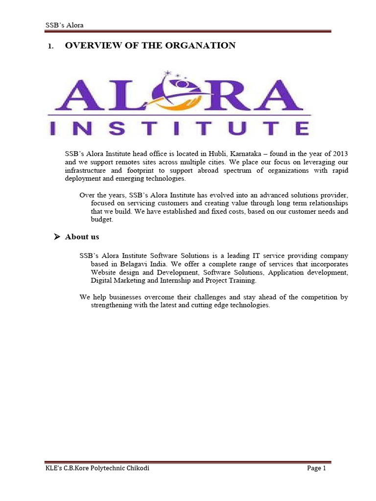 HSP Report | PDF | Enterprise Resource Planning | Multi Level Marketing