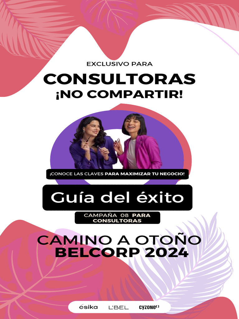 Guía Del Éxito C08 - Consultoras | PDF