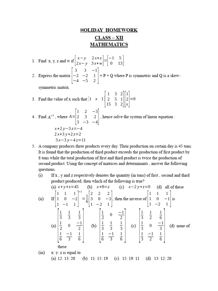 Class XII MATHS HOLIDAY HOMEWORK | PDF | Matrix (Mathematics) | Functions And Mappings
