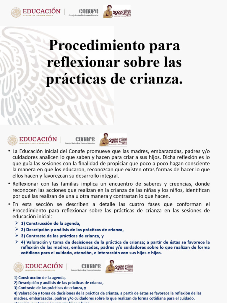 Procedimiento para Reflexionar Sobre Las Prácticas de Crianza | PDF ...