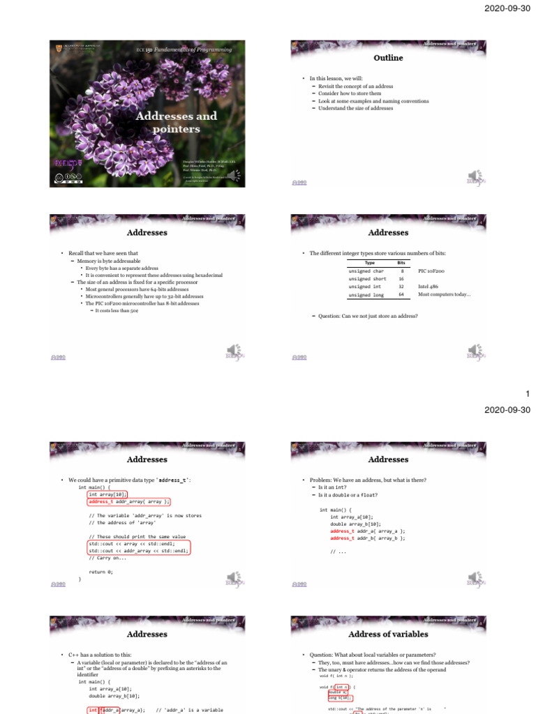201 Addresses And Pointers Pdf Pointer Computer Programming Integer Computer Science