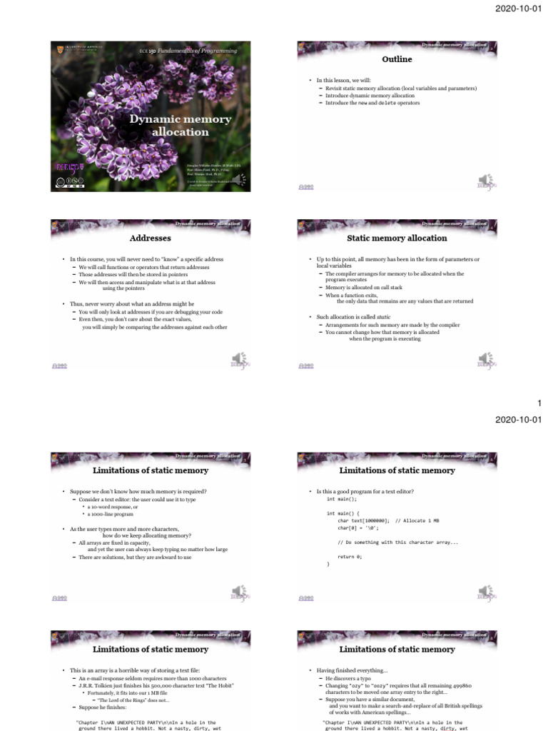 202 Dynamic Memory Allocation Pdf Pointer Computer Programming Variable Computer Science