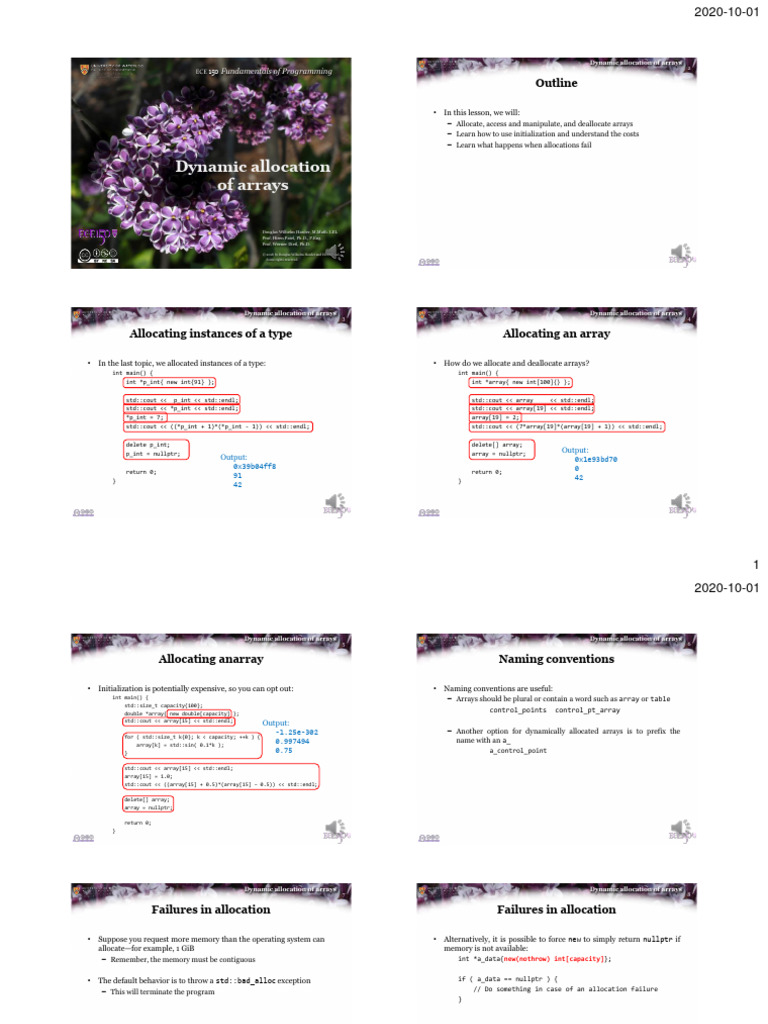 2.03 Dynamic Allocation of Arrays | PDF | Computer Programming ...