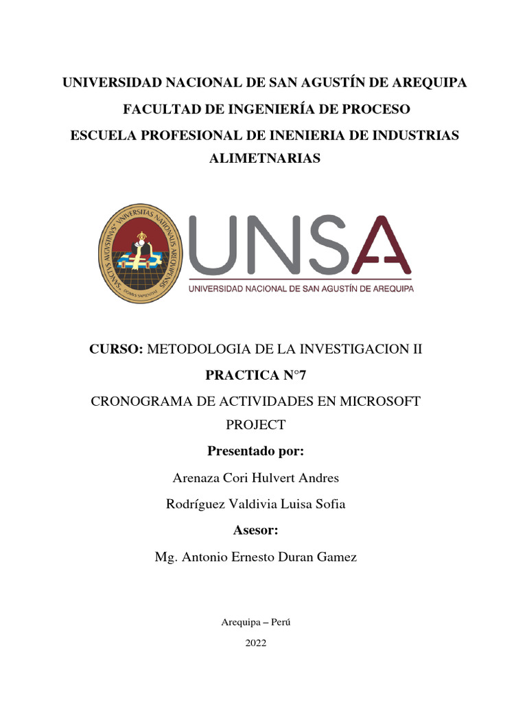 Practica N°7 - Seguimiento de Proyecto de Investigación | PDF