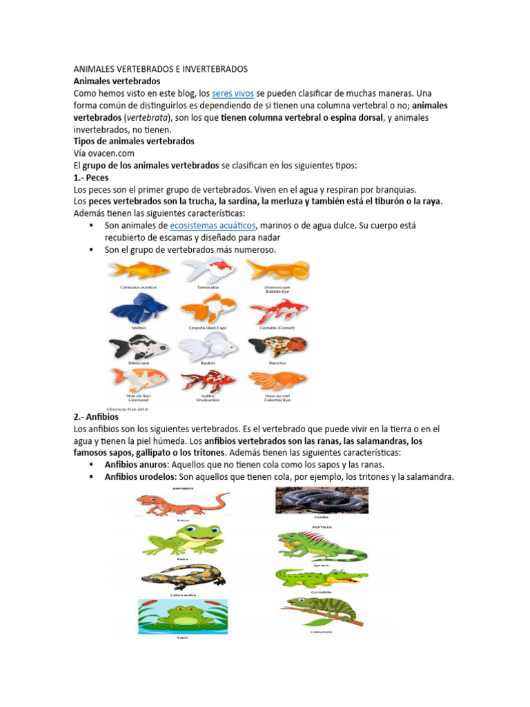 Animales Vertebrados e Invertebrados | PDF | Reptil | Anfibio