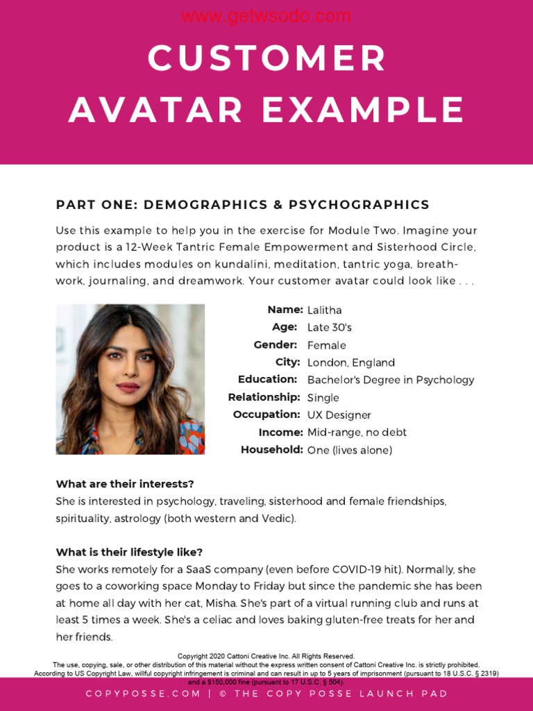 03-Customer Avatar Example | Download Free PDF | Mental Health | Anxiety