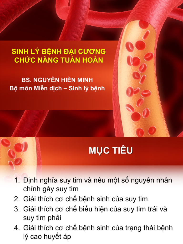 Roi Loan Tuan Hoan NHM | PDF