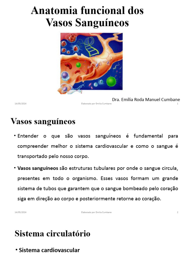 Anatomia dos Vasos | PDF | Sistema circulatório | Artéria