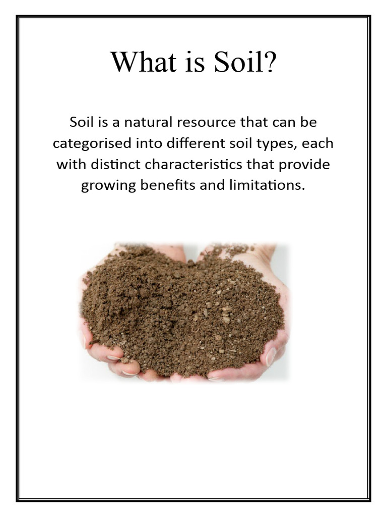 soil | PDF | Soil | Loam