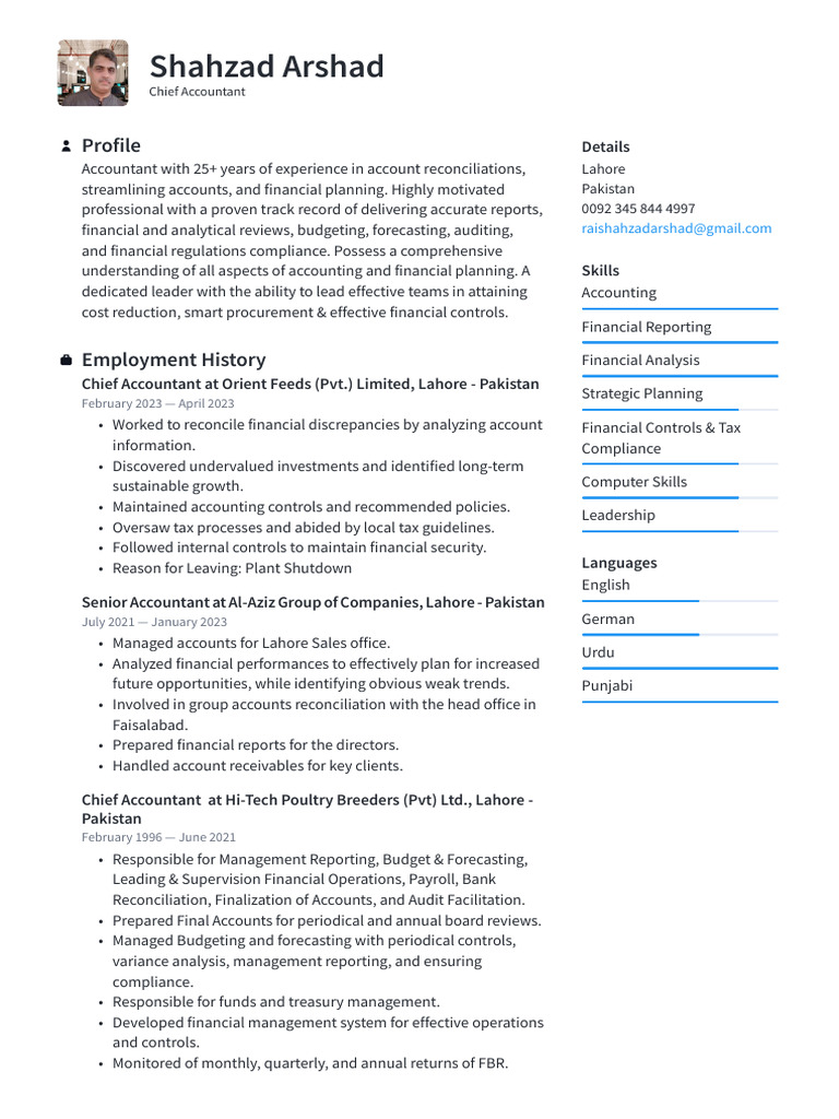 Experienced Chief Accountant Profile | PDF | Accounting | Accountant