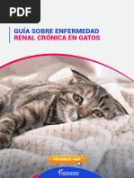 Manejo de la ERC en gatos según IRIS | PDF | Aspirina | Medicamentos ...
