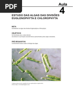 Aula Teórica - Algas Verdes | PDF | Eucariotas | Biologia