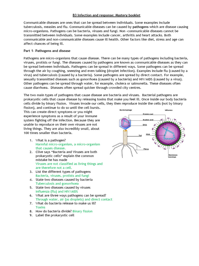 Understanding Pathogens and Diseases | PDF | Vaccines | Measles