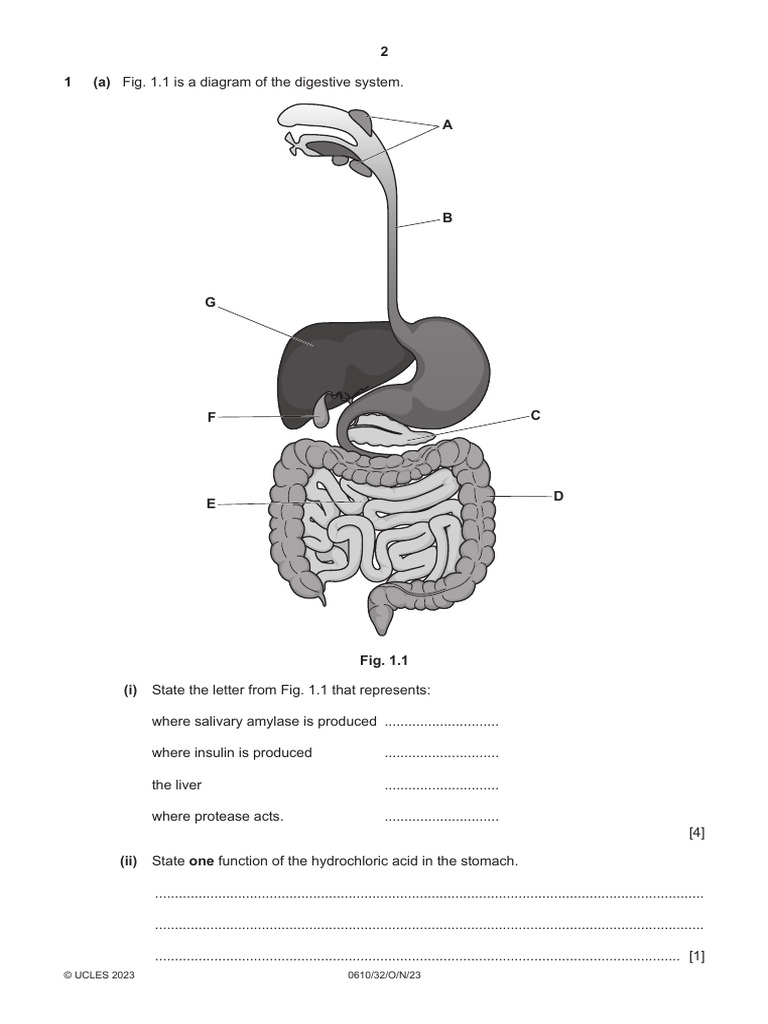 Bio Test Organism and Their Environment | PDF | Carbon | Plants