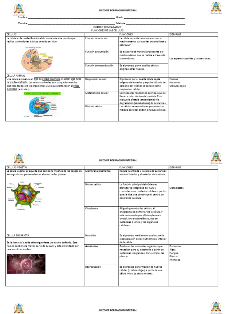 Cuadro Comparativo de Las Celulas | PDF | Biología Celular) | Plantas