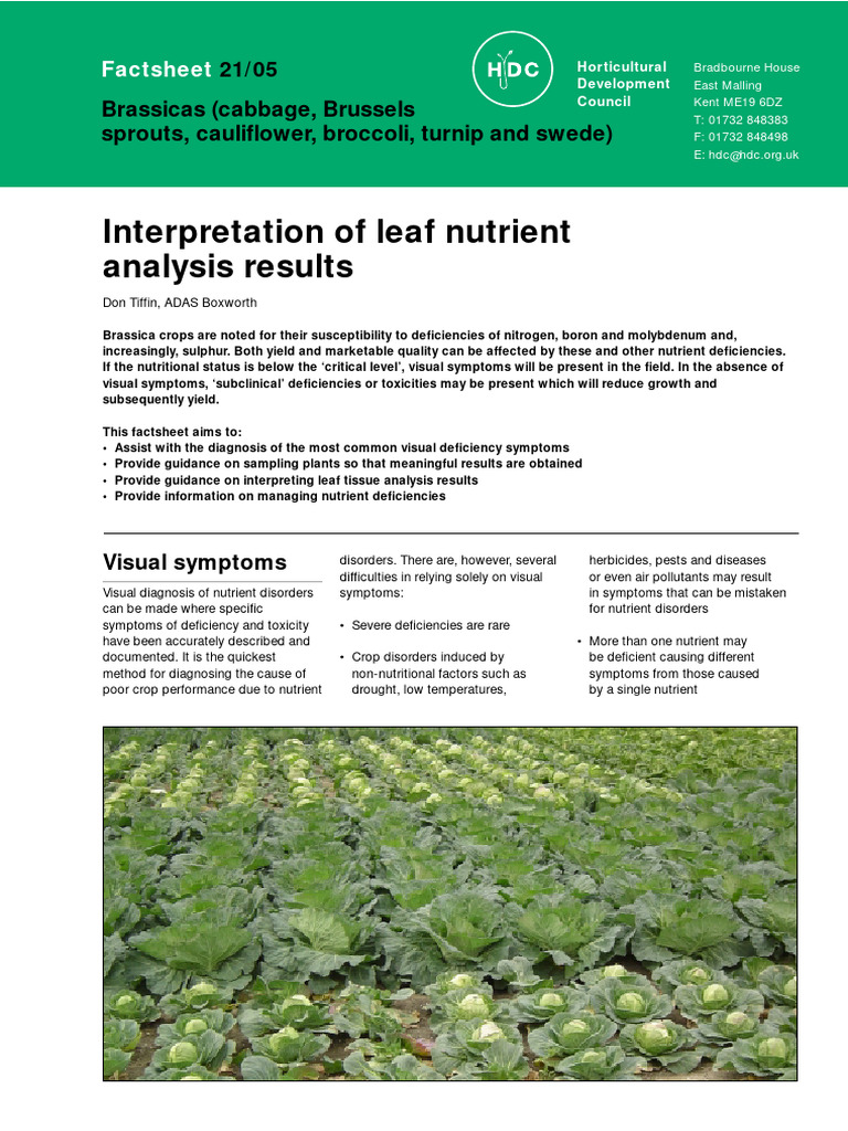 Interpretation of Leaf Nutrient Analysis Results | PDF | Cabbage | Soil