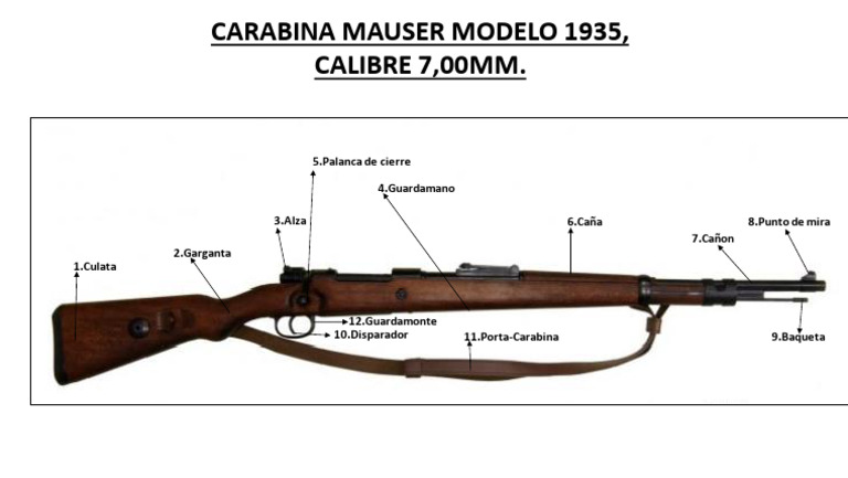 Nomenclatura de Carabina Mauser | PDF