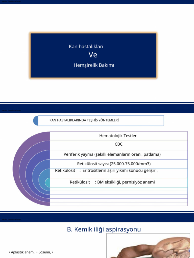 05 - Internal Medicine - Blood Disease | PDF