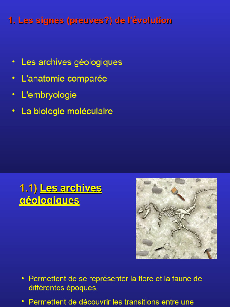 Preuves de l'évolution biologique | PDF | Homo | Fossile