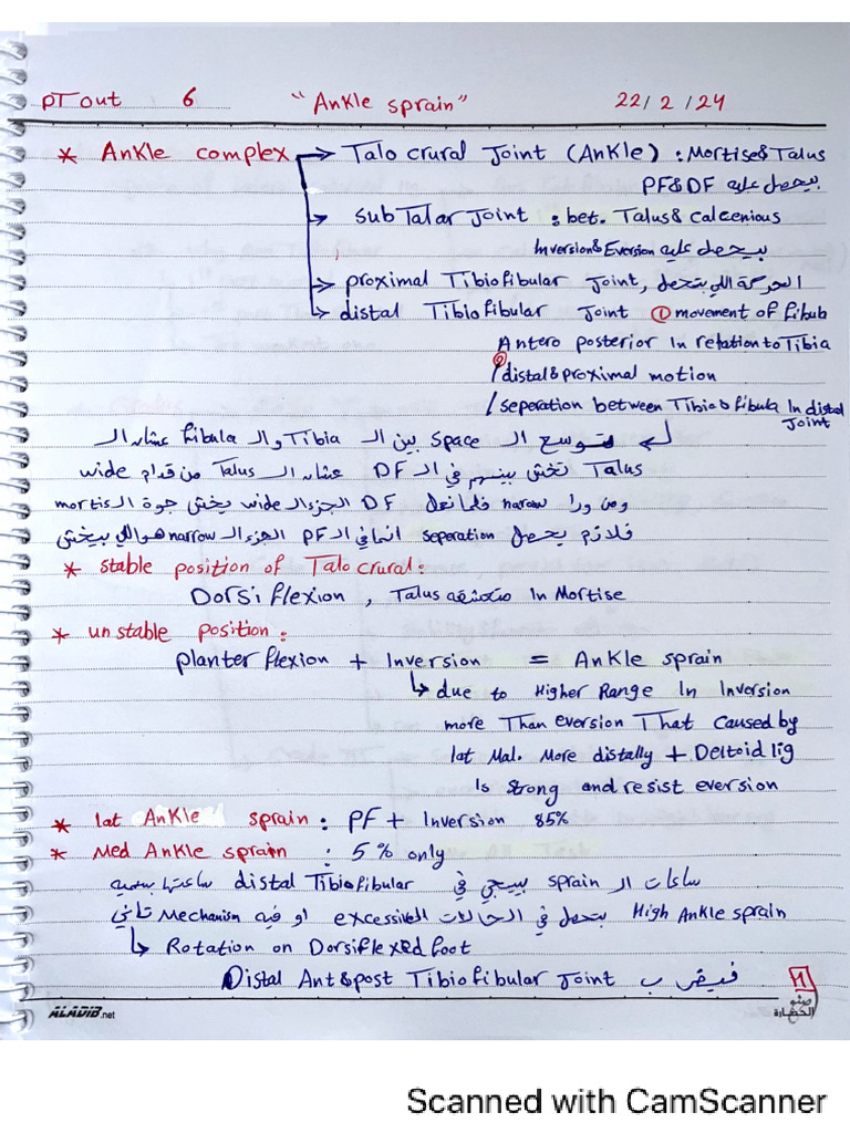 Ankle Sprain, Achilles Tendinopathy&plant | PDF
