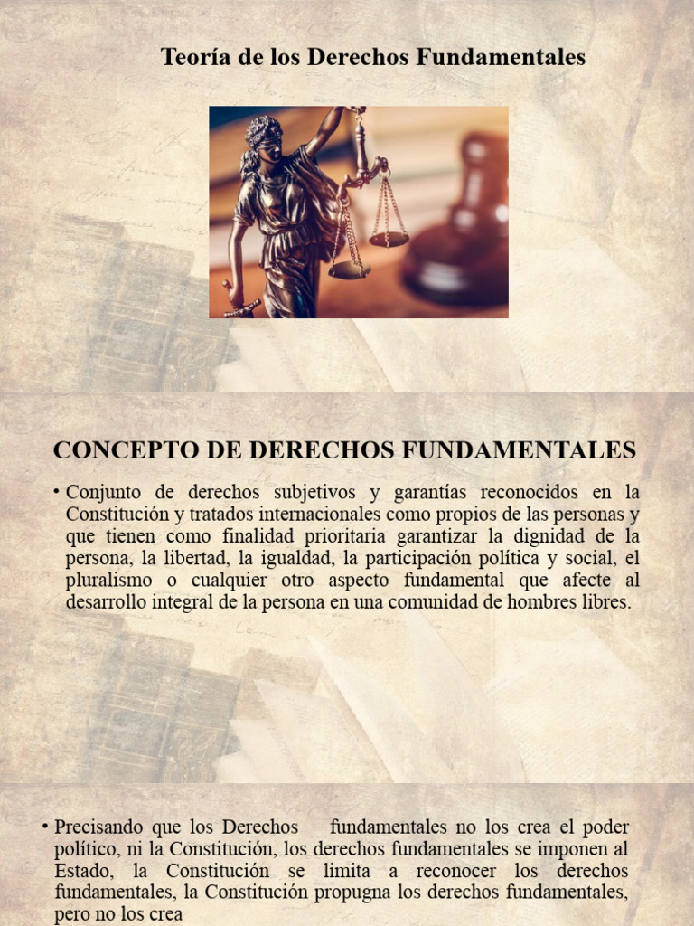 Teoría de Los Derechos Fundamentales | Descargar gratis PDF | Derechos | Derechos fundamentales