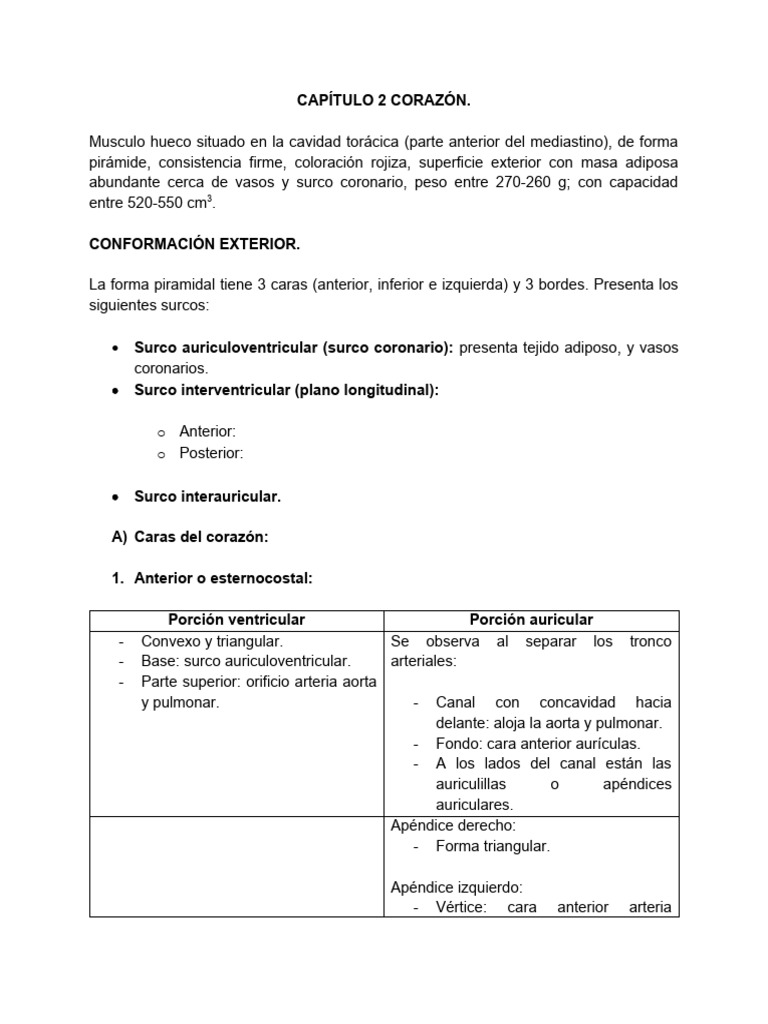 Anatomía del Corazón: Estructura y Surcos | PDF | Corazón | Ventrículo ...