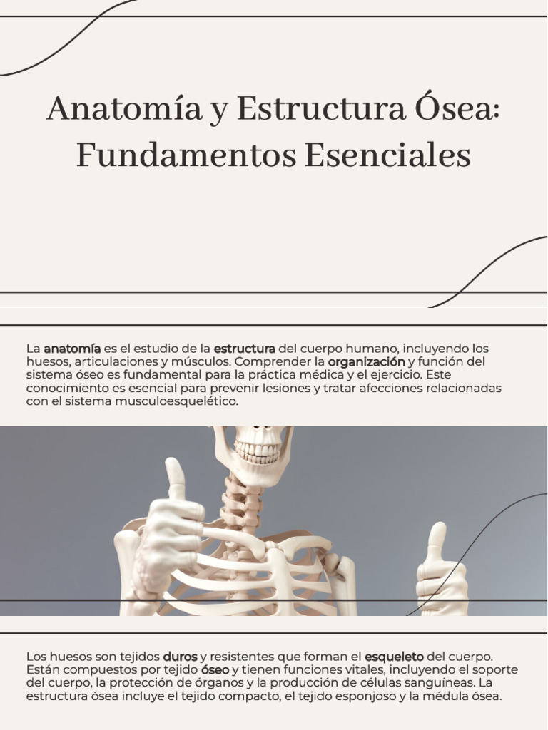 estructura osea | PDF