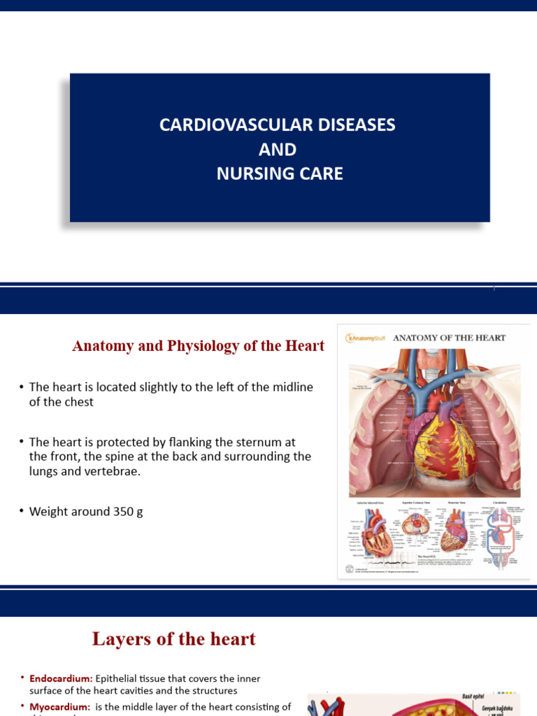 03 - Internal Medicine Nursing - Cardiovascular System | PDF | Atrium ...