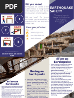BROCHURE | PDF | Earthquakes | Seismology