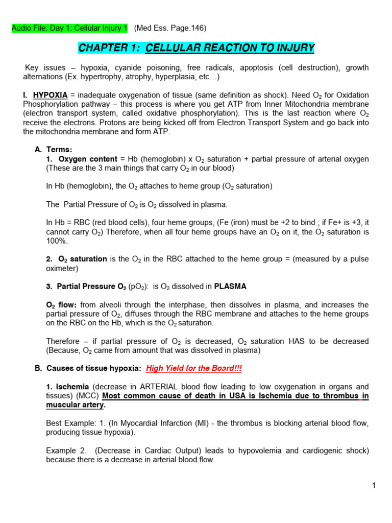 Goljan Notes | PDF | Glycolysis | Cell Cycle