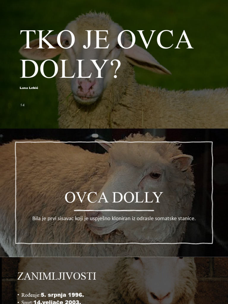 Tko Je Ovca Dolly | PDF Tko Je Ovca Dolly | PDF