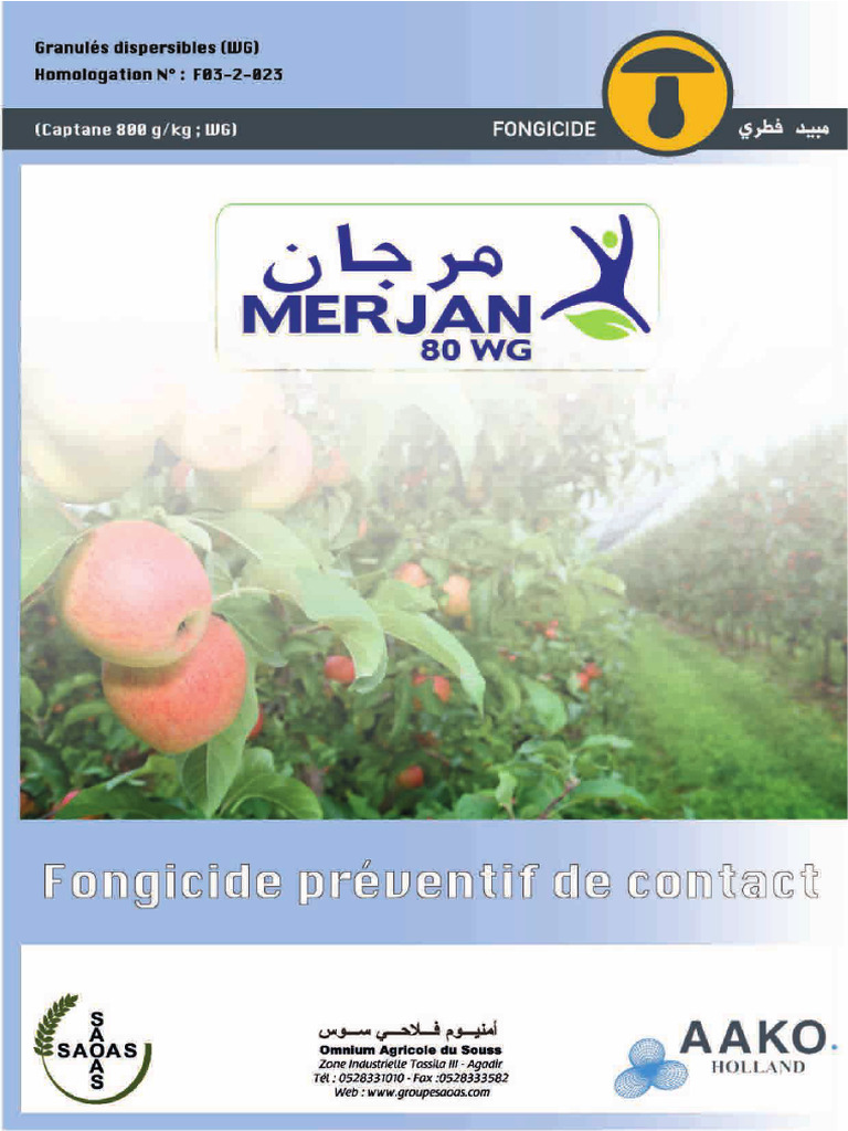 153_merjan-80-wgprospectus | PDF