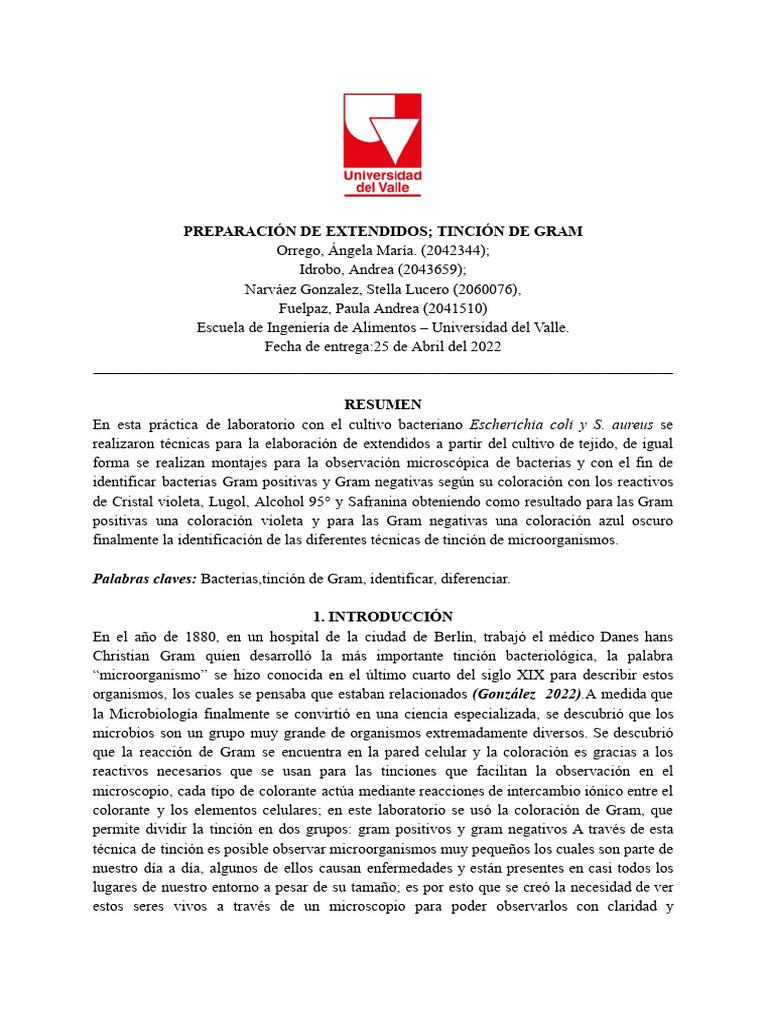 Informe 2 Micro | PDF | Bacterias Gram-negativo | Bacterias Gram Positivas
