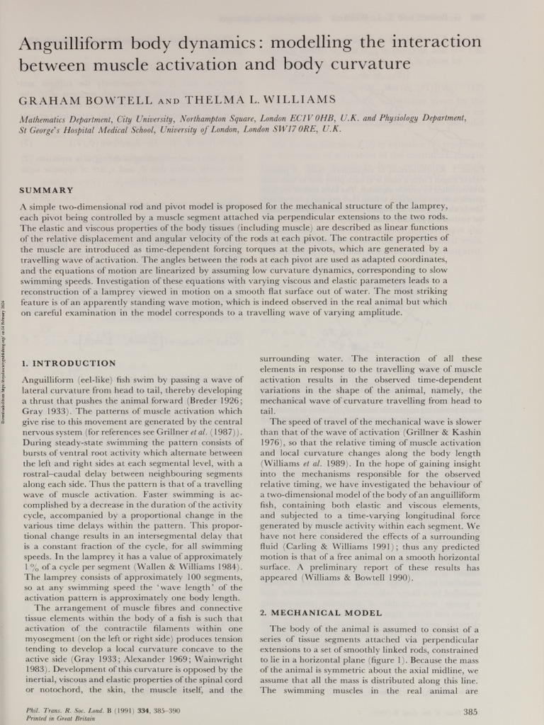 Bowtell Williams 1997 Anguilliform Body Dynamics Modelling The ...
