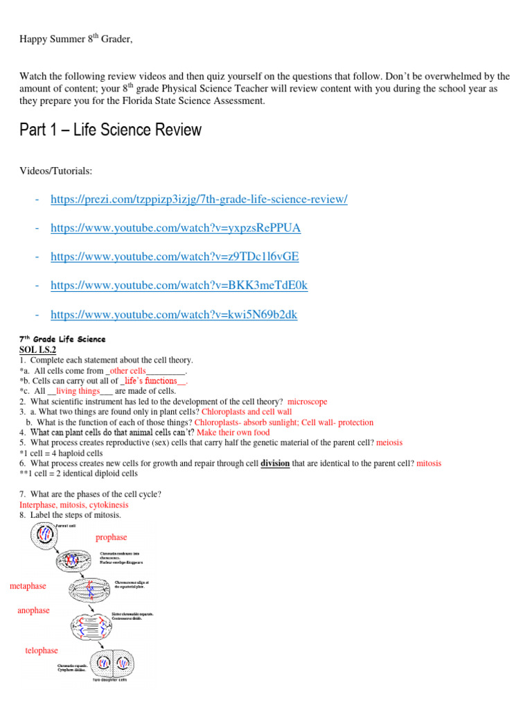 Rising 8th Grade Science Review | PDF | Mitosis | Photosynthesis