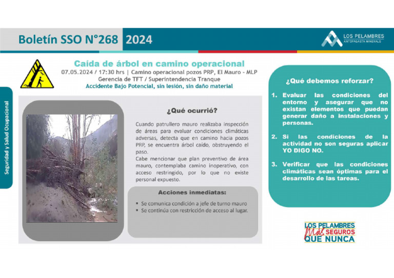 Boletin SSO N°268 | PDF