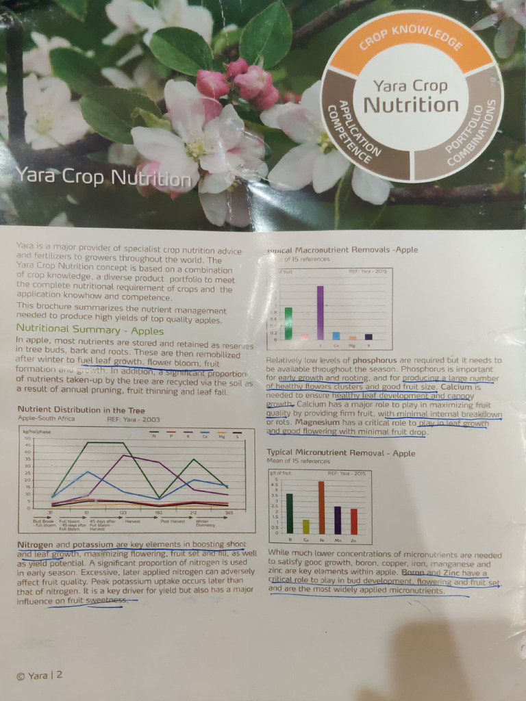 Yara | PDF | Nutrition | Diet & Nutrition