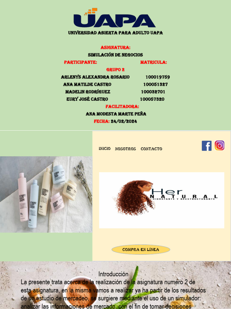 simulacion de negocio tarea 2 (4) | PDF | Business | Pelo