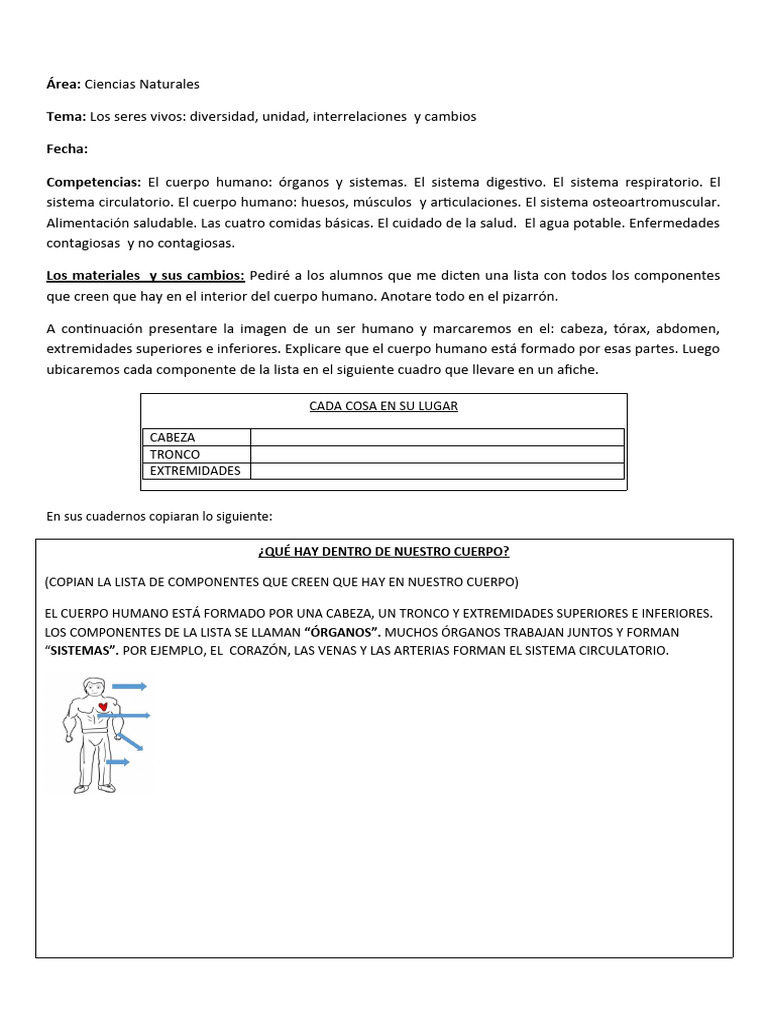 cuerpo humano 3er grado | PDF | Dieta | Alimentos