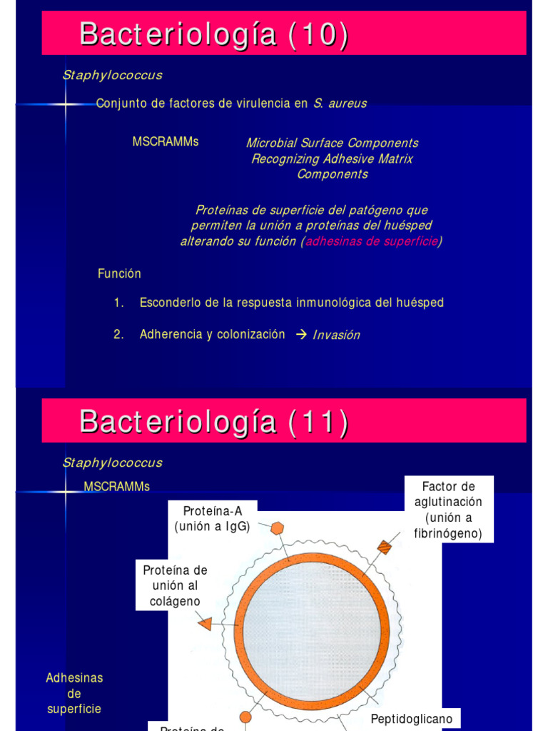 M 30 Mar 11 Bacter | PDF | Staphylococcus Aureus | Septicemia
